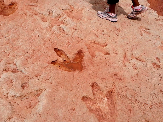 Navajo Moenave Dinosaur Tracks 4