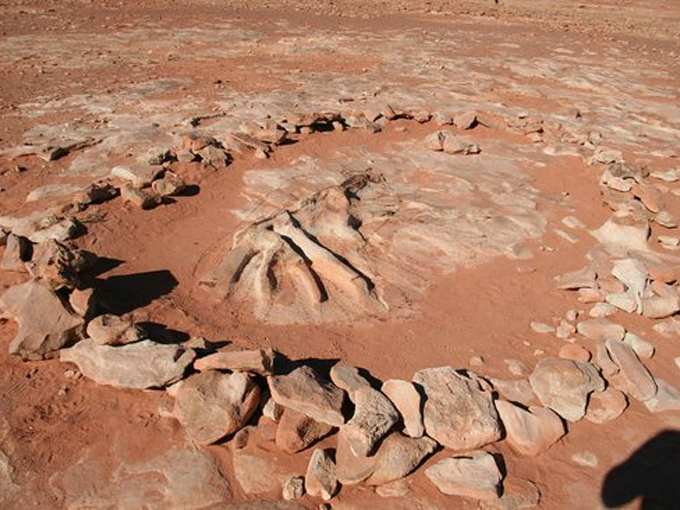 Navajo Moenave Dinosaur Tracks 5