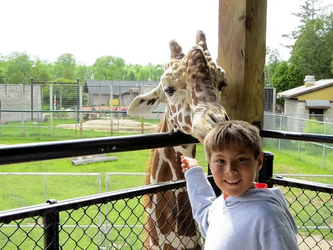 northeastern wisconsin zoo 1