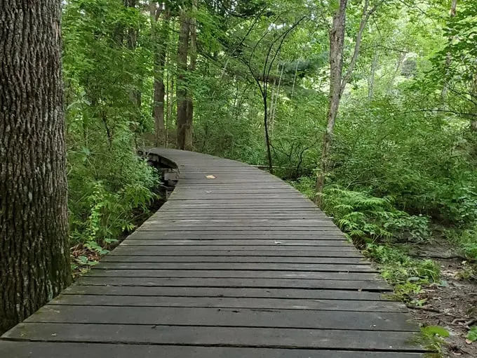oak nuts park 7