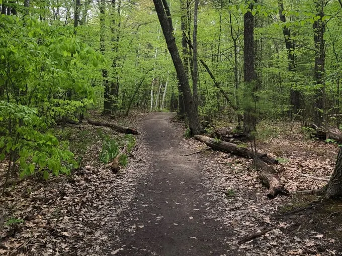 oak nuts park 8