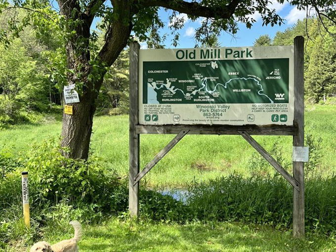 old mill park 1