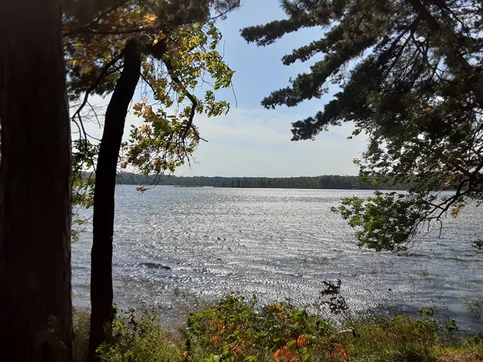 pillsbury state forest 1