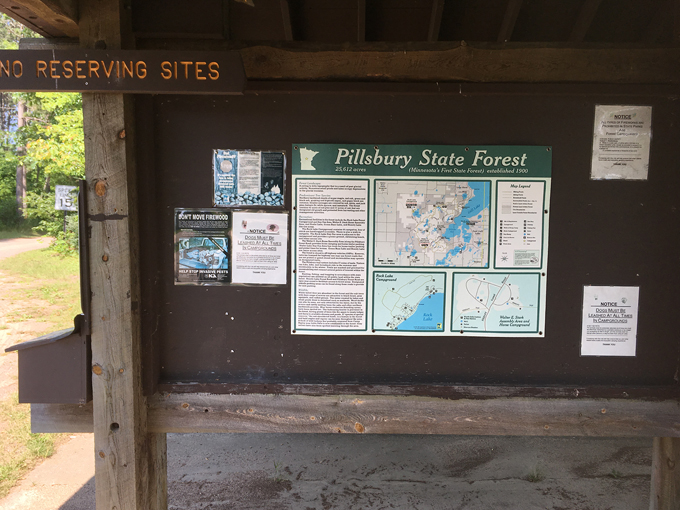 pillsbury state forest 2