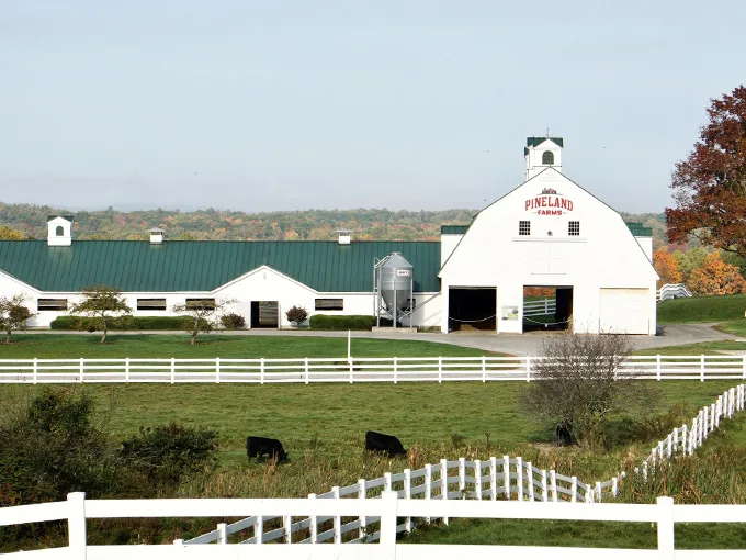 pineland farms 1