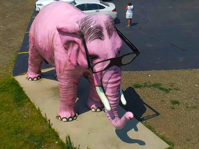 Pinkie the Elephant 3
