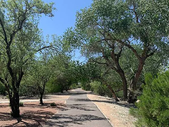 Queen Creek Wash Trail 5