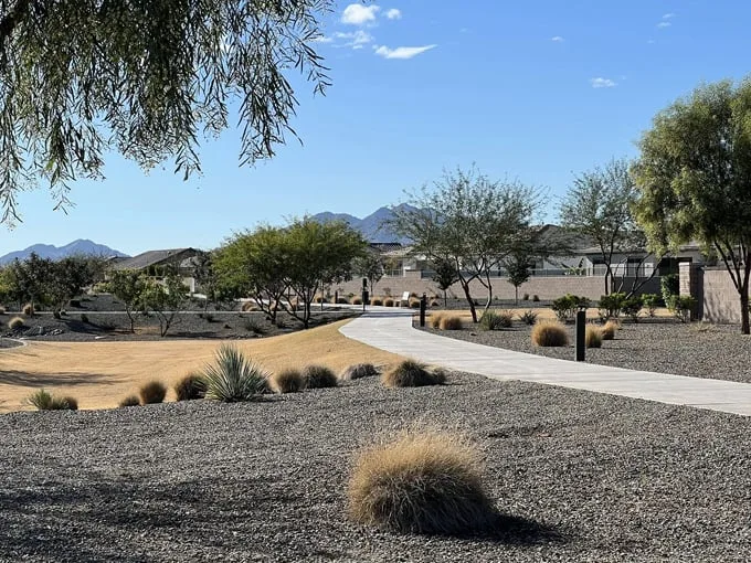 Queen Creek Wash Trail 9