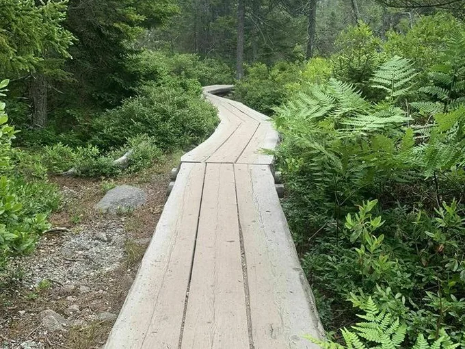 Ship Harbor Trail trailhead 1