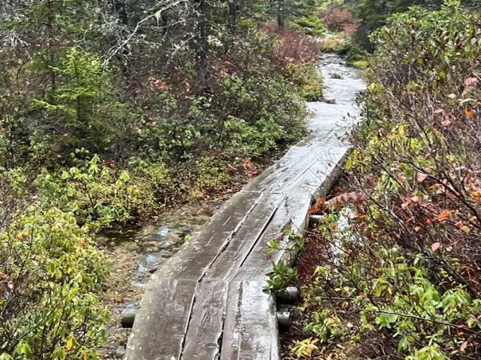 Ship Harbor Trail trailhead 4