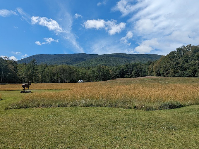 southern vermont arts center 5