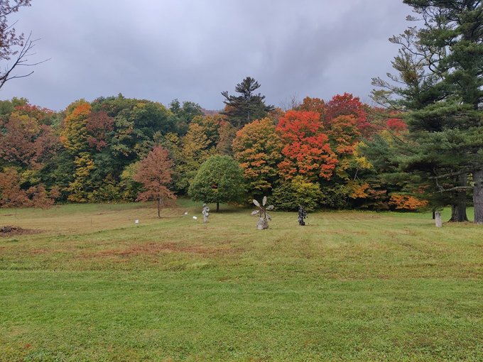 southern vermont arts center 6