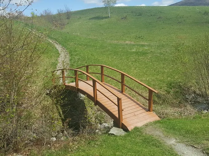 taconic ramble state park 5