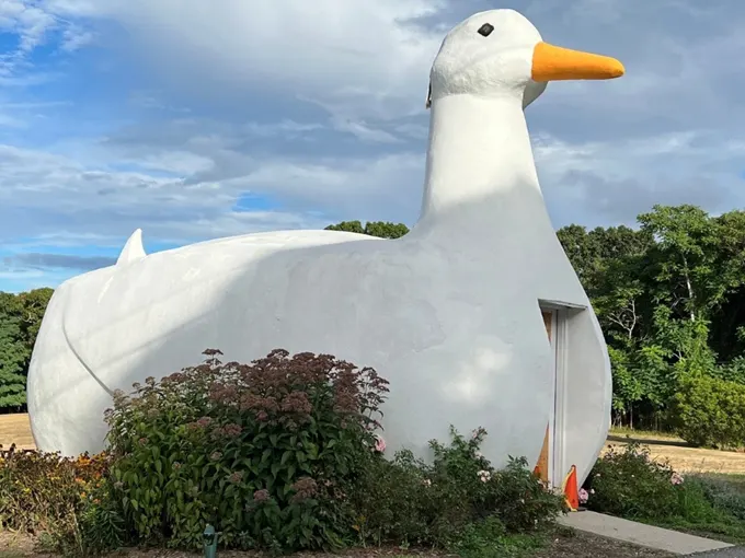the big duck