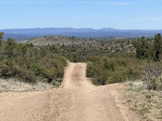 The big juniper 1