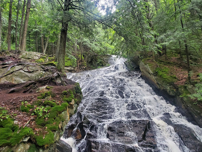 thundering brook falls trail 9