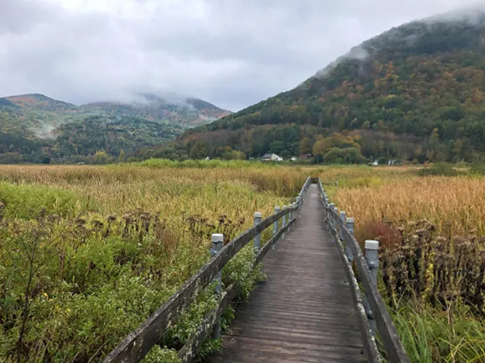 west rutland marsh 1