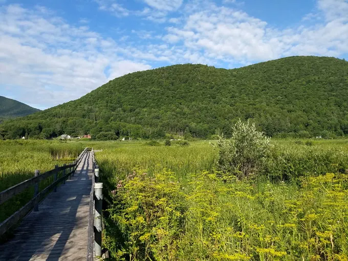 west rutland marsh 3