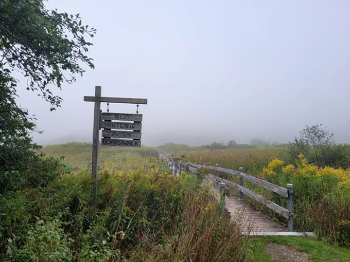 west rutland marsh 4