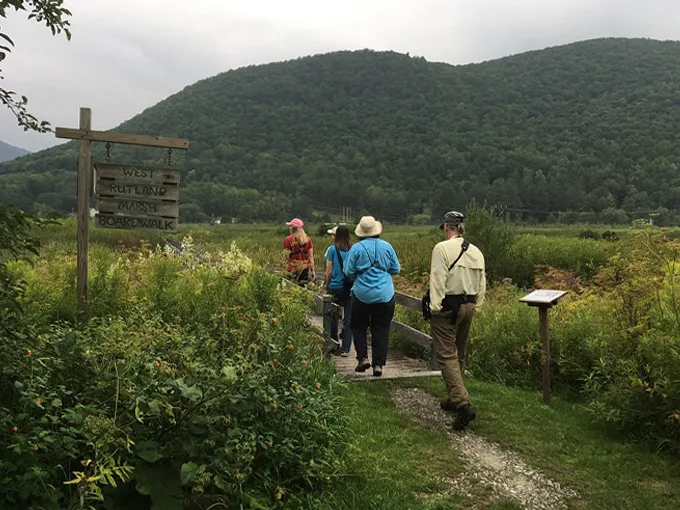 west rutland marsh 5