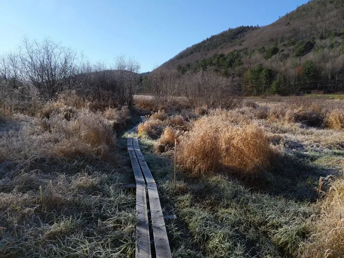 west rutland marsh 7