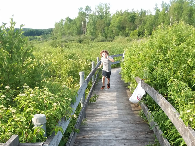 west rutland marsh 8