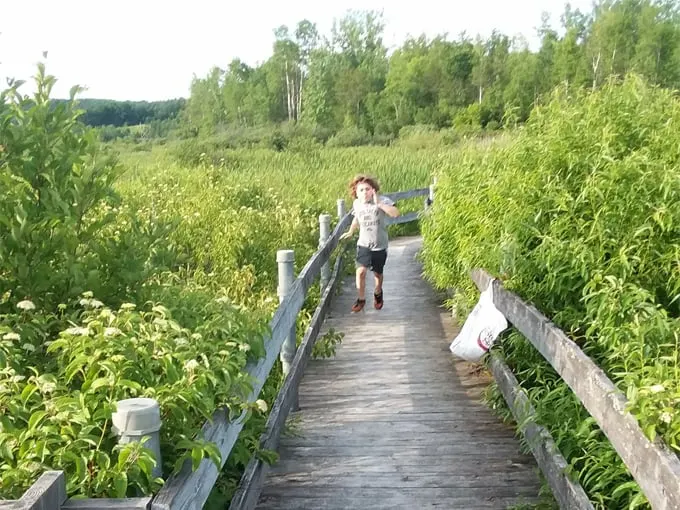 west rutland marsh 8