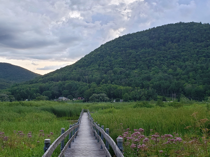 west rutland marsh 9