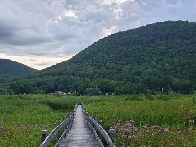 west rutland marsh 9