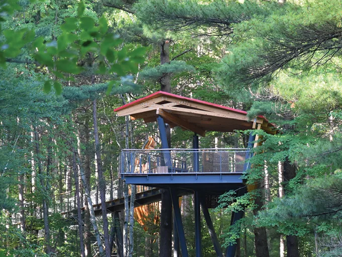Whiting Forest of Dow Gardens 1