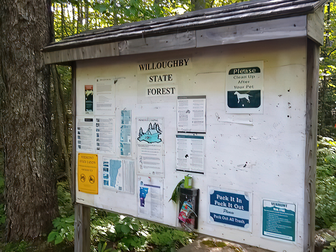 willoughby state forest 1