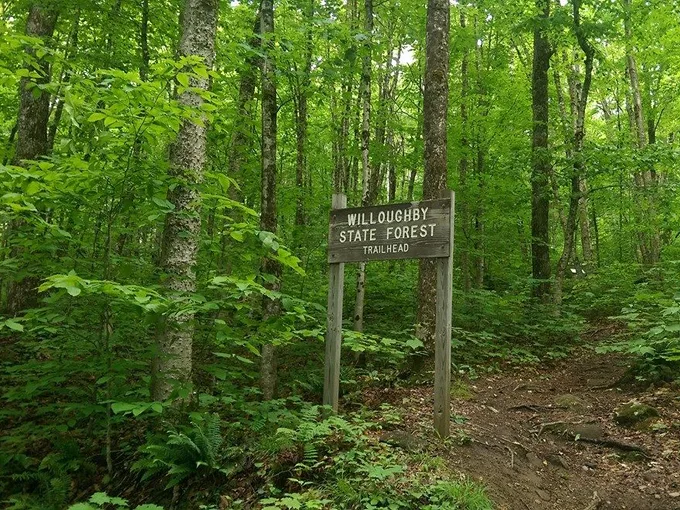 willoughby state forest 2