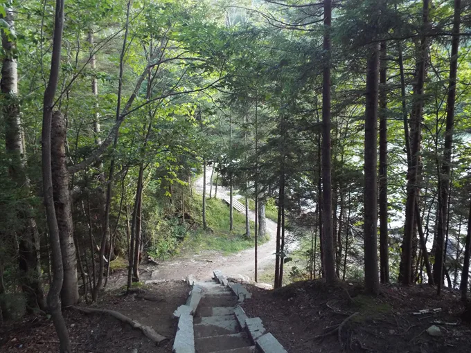 willoughby state forest 4