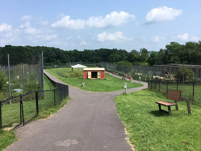 wisconsin big cat rescue and education center 1