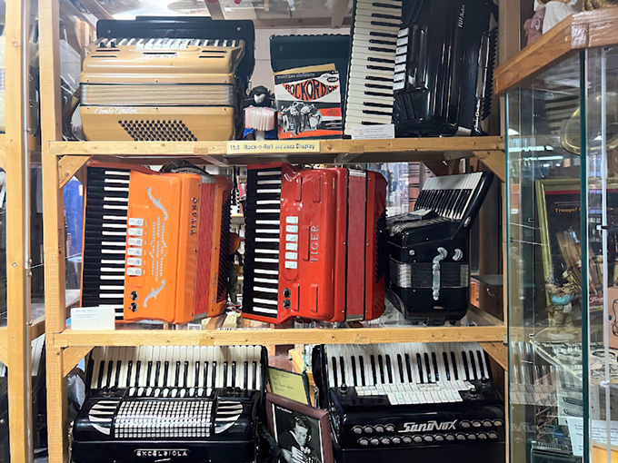 world of accordions museum 6