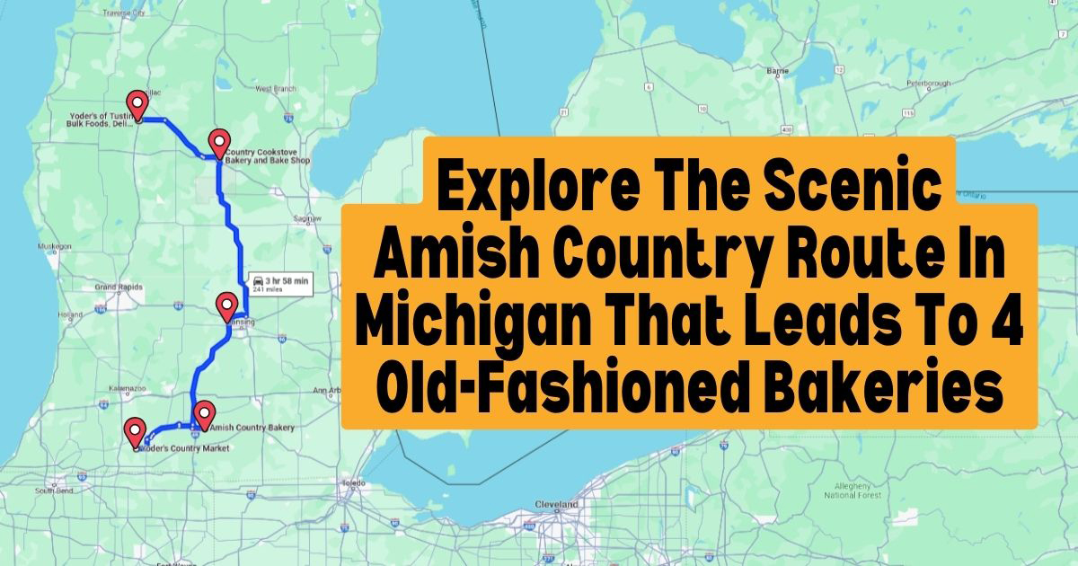 amish country bakeries michigan ftr