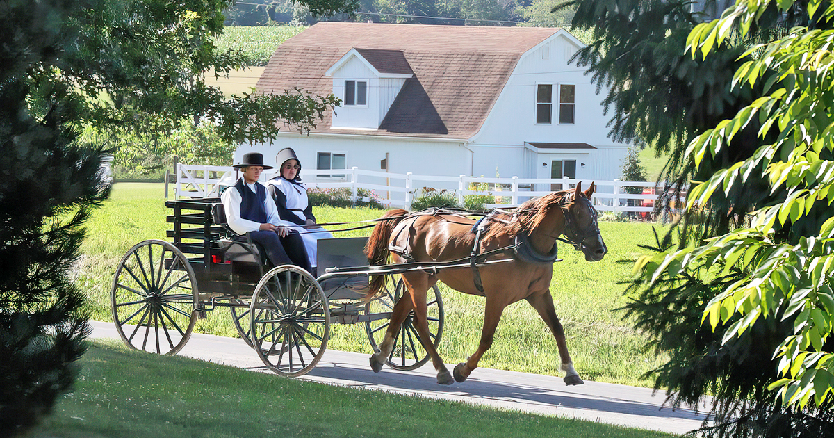 amish town in florida ftr