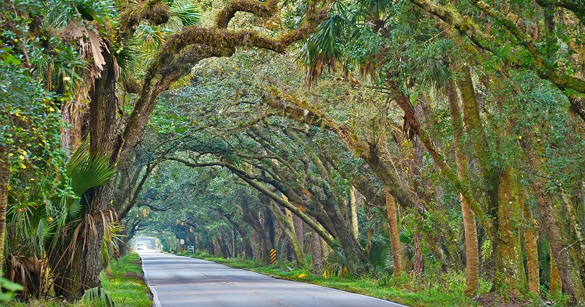 florida 12 mile drive ftr