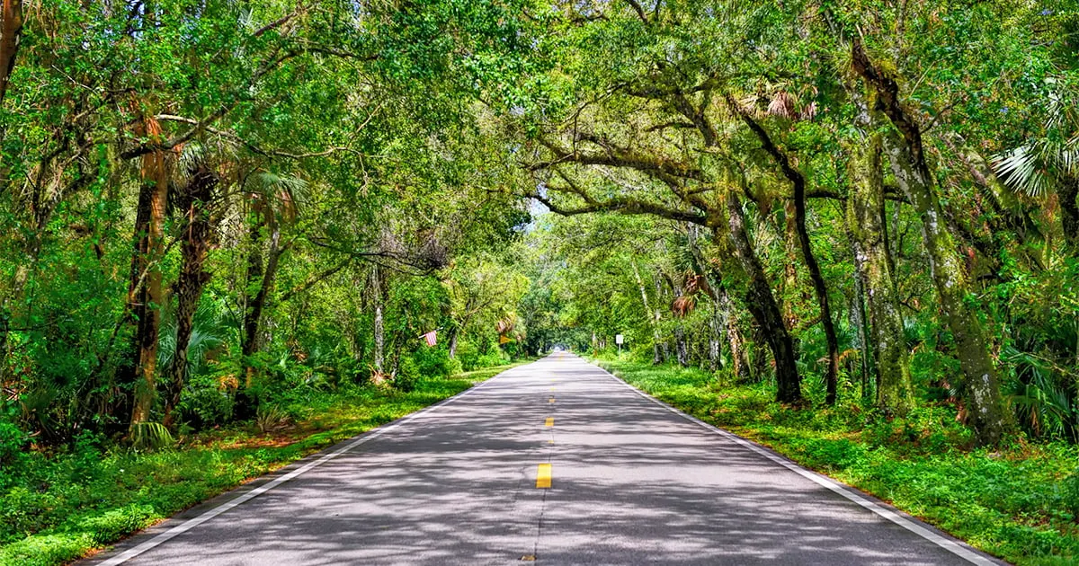 florida 220 mile drive ftr