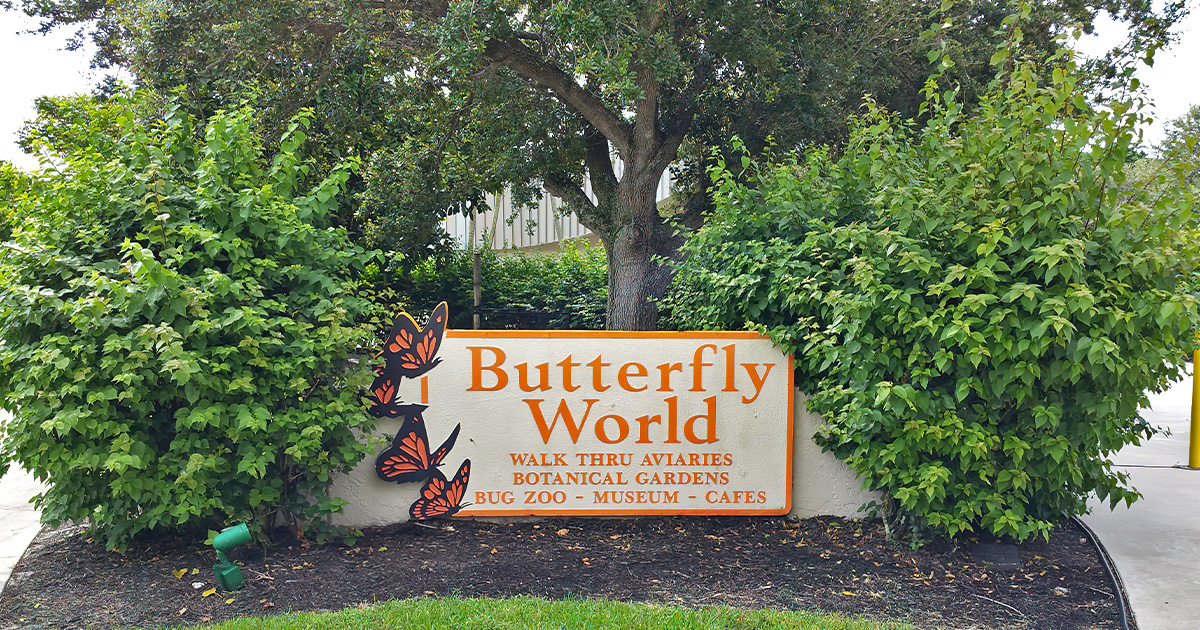 largest butterfly sanctuary florida ftr