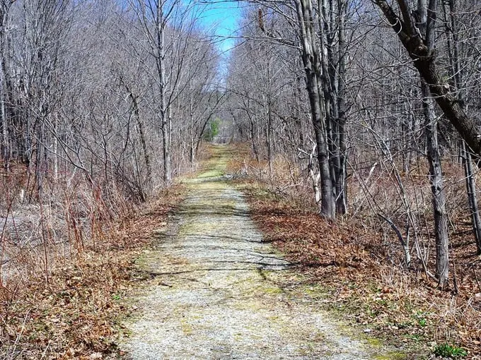 Maine Most Haunted Hikes 8