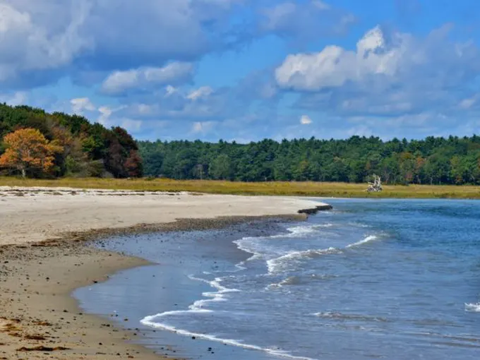 Maine Secluded Shores 1