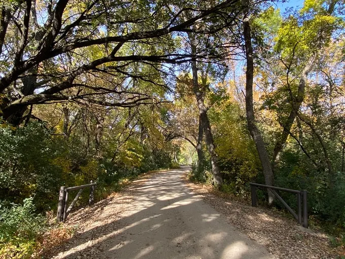 minnesota state park roadtrip 3