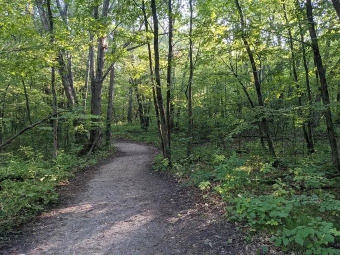minnesota state park roadtrip 5