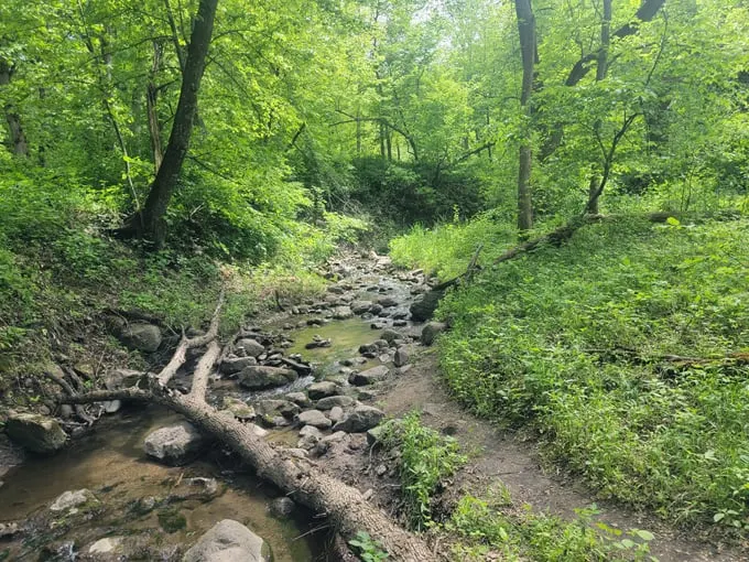 minnesota state park roadtrip 7