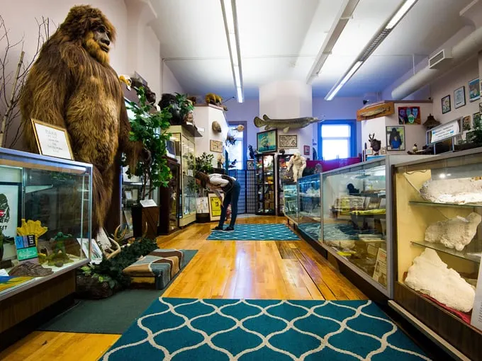 Most Unusual Attractions Maine 6