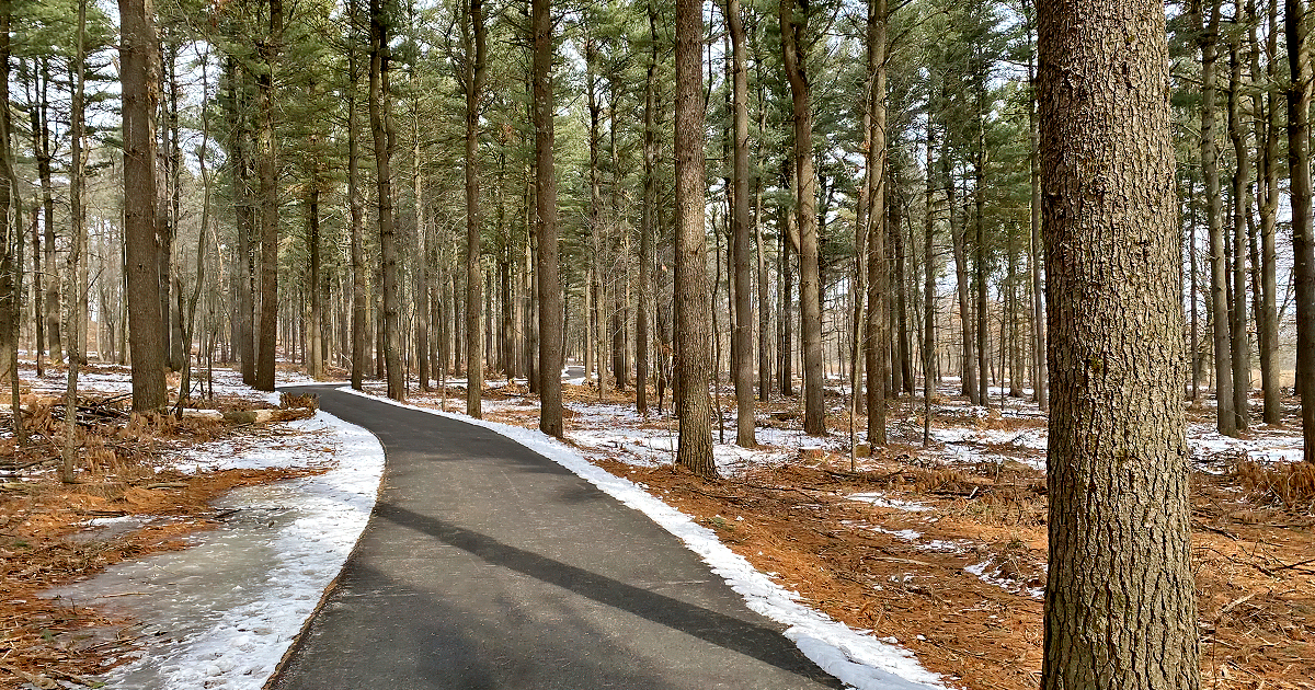 pine plantation trail wisconsin ftr
