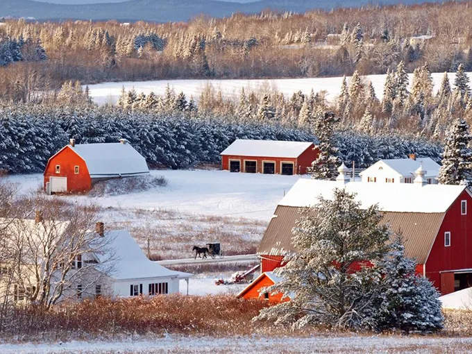 Quirky Local Maine Phrases 3