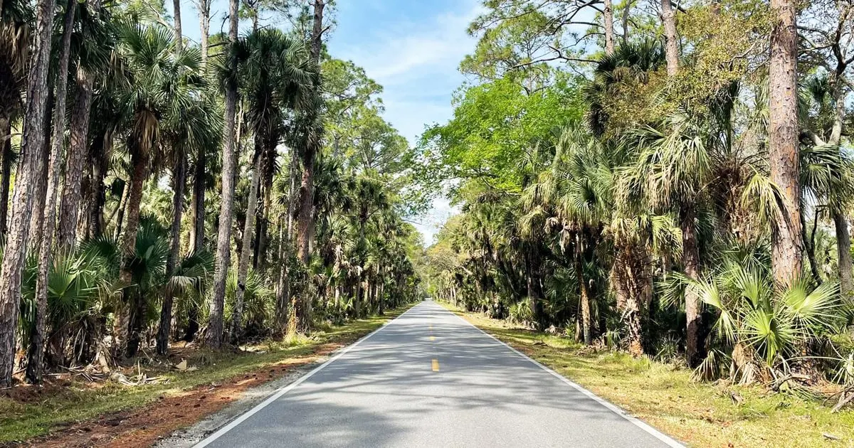 scenic florida loop trail ftr