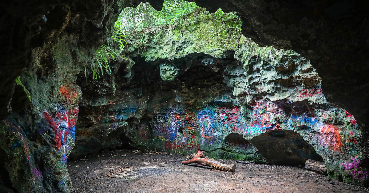 sinkhole cave trail florida ftr